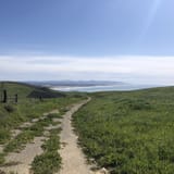 Point Sal Overlook, California - 496 Reviews, Map | AllTrails