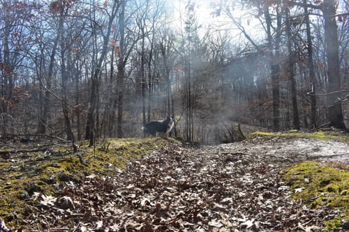 Best Hikes and Trails in Devil's Prop Nature Preserve | AllTrails