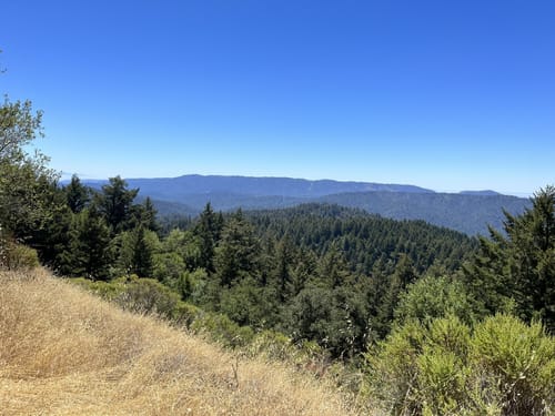 2023 Best 10 Trails and Hikes in Boulder Creek | AllTrails