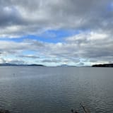Padilla Bay Trail, Washington - 555 Reviews, Map | AllTrails