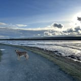 Padilla Bay Trail, Washington - 555 Reviews, Map | AllTrails