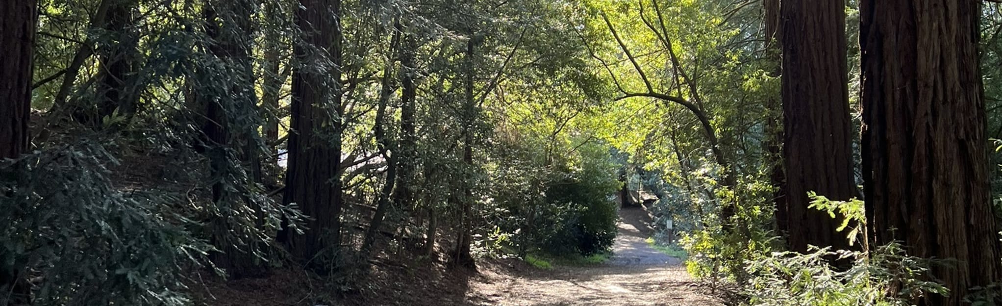 Roberts Ridge and Graham Trail Loop: 281 Reviews, Map - California ...