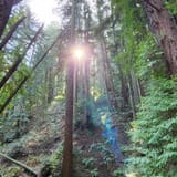 Cinderella, Sunset, Sequoia Bayview Loop Trail, California - 262 ...