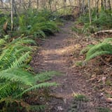 Galen McBee Airport Park Loop, Oregon - 230 Reviews, Map | AllTrails