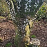 Galen McBee Airport Park Loop, Oregon - 230 Reviews, Map | AllTrails