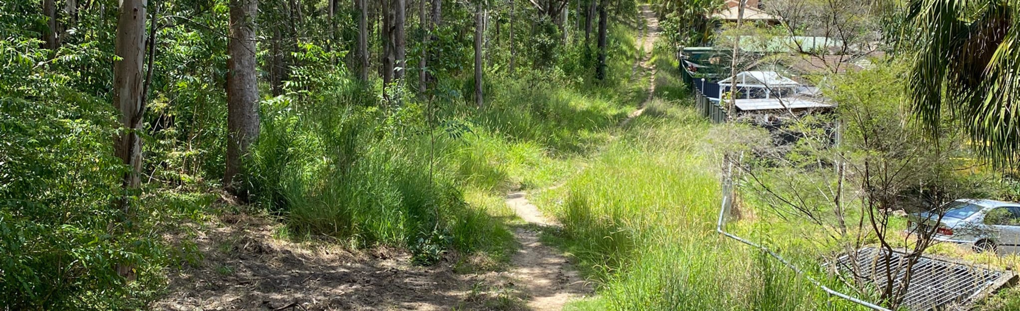 Yarrayne Break, Nerang Forest Walk, and Centre Road: 46 Reviews, Map ...