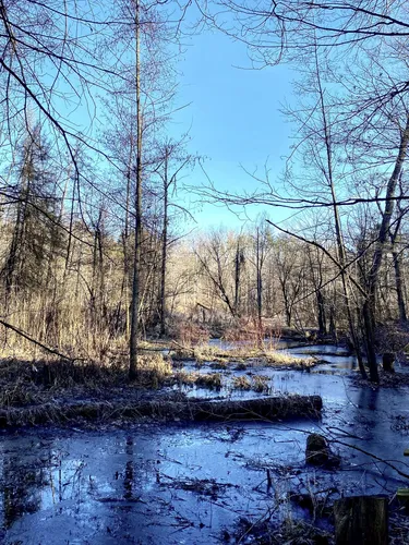 Best Easy Trails in Backus Woods | AllTrails