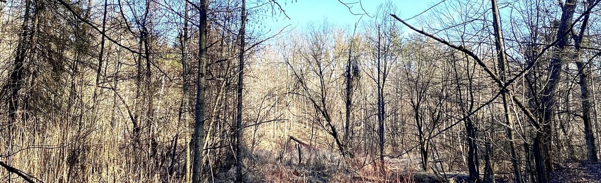 Cottonwood Trail: 5 Reviews, Map - Ontario, Canada | AllTrails