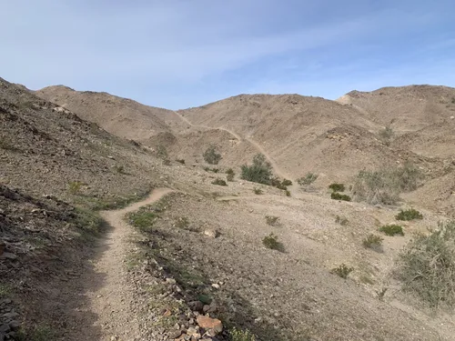 Los 10 mejores senderos y rutas en Mexicali | AllTrails