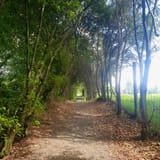 Newstead Walkway, Waikato, New Zealand - 32 Reviews, Map | AllTrails