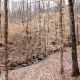 QuiVaLa Elise Falls Trail, Arkansas - 186 Reviews, Map | AllTrails