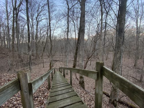 Best Hikes and Trails in Hall Woods Nature Preserve | AllTrails