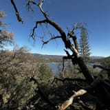 Way of the Mono Trail, California - 438 Reviews, Map | AllTrails