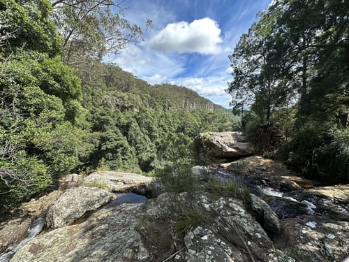 Best 10 Hikes and Trails in Springbrook National Park | AllTrails