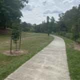 Cabbage Tree Creek, Queensland, Australia - 97 Reviews, Map | AllTrails