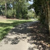 Cabbage Tree Creek, Queensland, Australia - 97 Reviews, Map | AllTrails