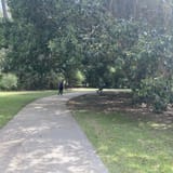 Cabbage Tree Creek, Queensland, Australia - 97 Reviews, Map | AllTrails