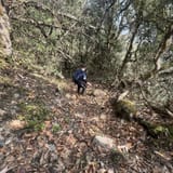 Trans Bhutan Trail, Ha, Bhutan - 22 Reviews, Map | AllTrails