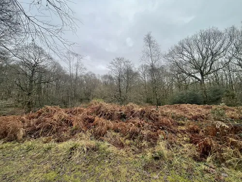 10 Best Walking Trails in Ulverston | AllTrails