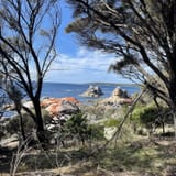 Skeleton Bay to Skeleton Point, Tasmania, Australia - 69 Reviews, Map ...