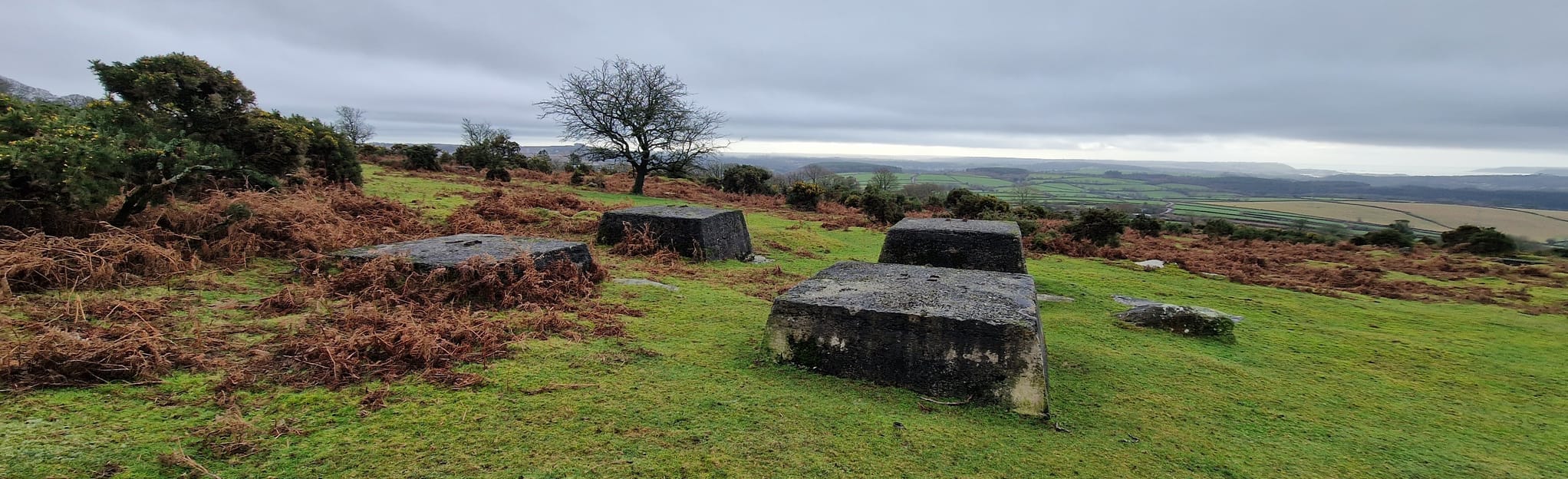 Wotter and Beatland Corner, Devon, England - 15 Reviews, Map | AllTrails
