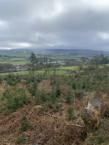 2023 Best Walking Trails in Saggart | AllTrails