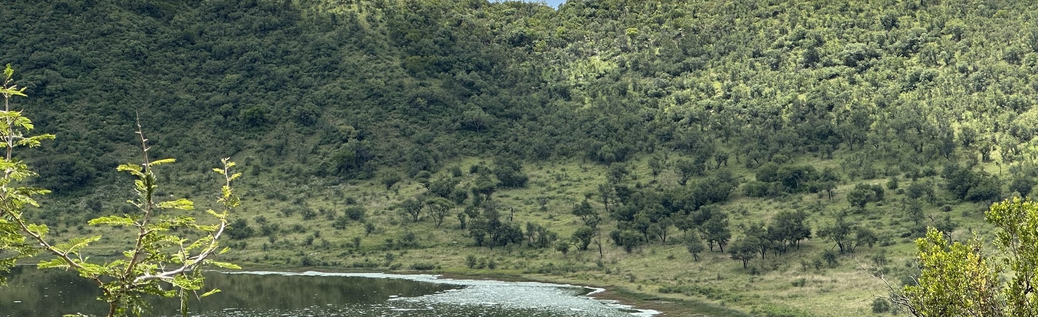 Tswaing Meteorite Crater: 12 Reviews, Map - Gauteng, South Africa ...
