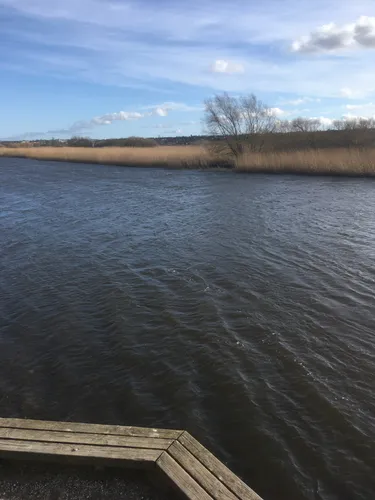 10 bedste ruter og vandreture i Randers | AllTrails