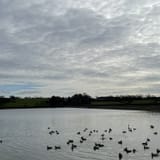 Thornton Reservoir and Bagworth Heath Woods Circular, Leicestershire ...