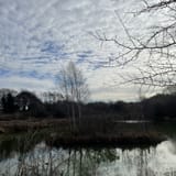 Thornton Reservoir and Bagworth Heath Woods Circular, Leicestershire ...