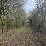 Thornton Reservoir and Bagworth Heath Woods Circular, Leicestershire ...