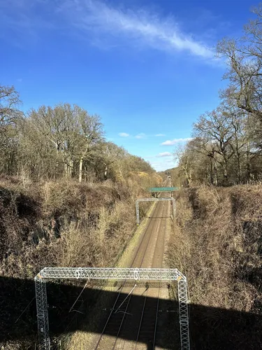 10 Best Trails, Walks, and Paths in Saffron Walden | AllTrails