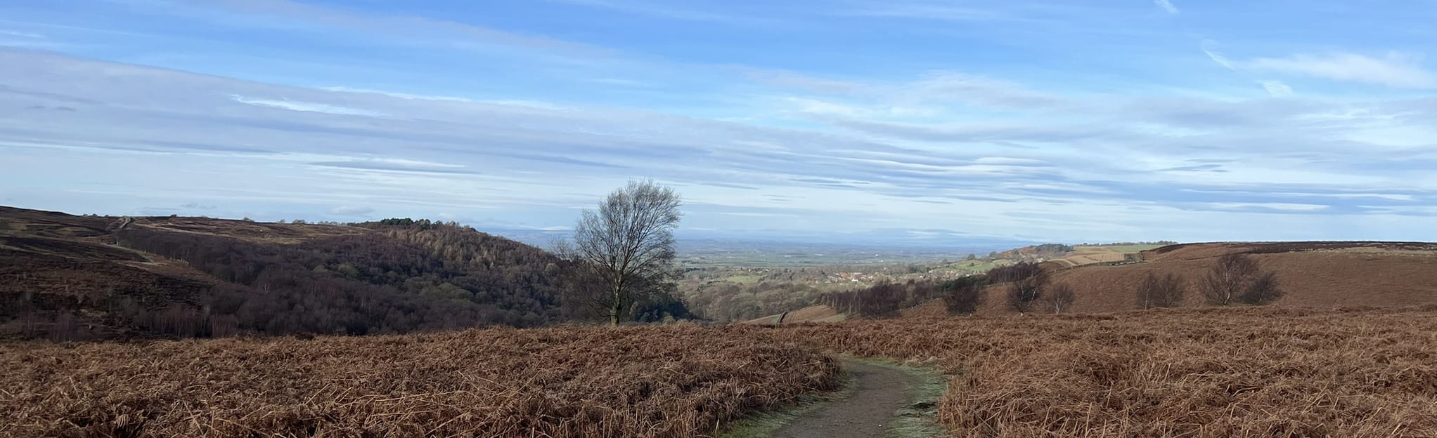 Osmotherley, Miley Pike, and Cod Beck Reservoir Circular: 242 Fotos ...