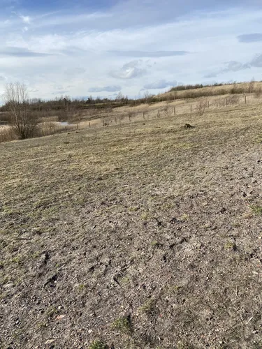 Best Hikes and Trails in Pleasley Pit Country Park | AllTrails