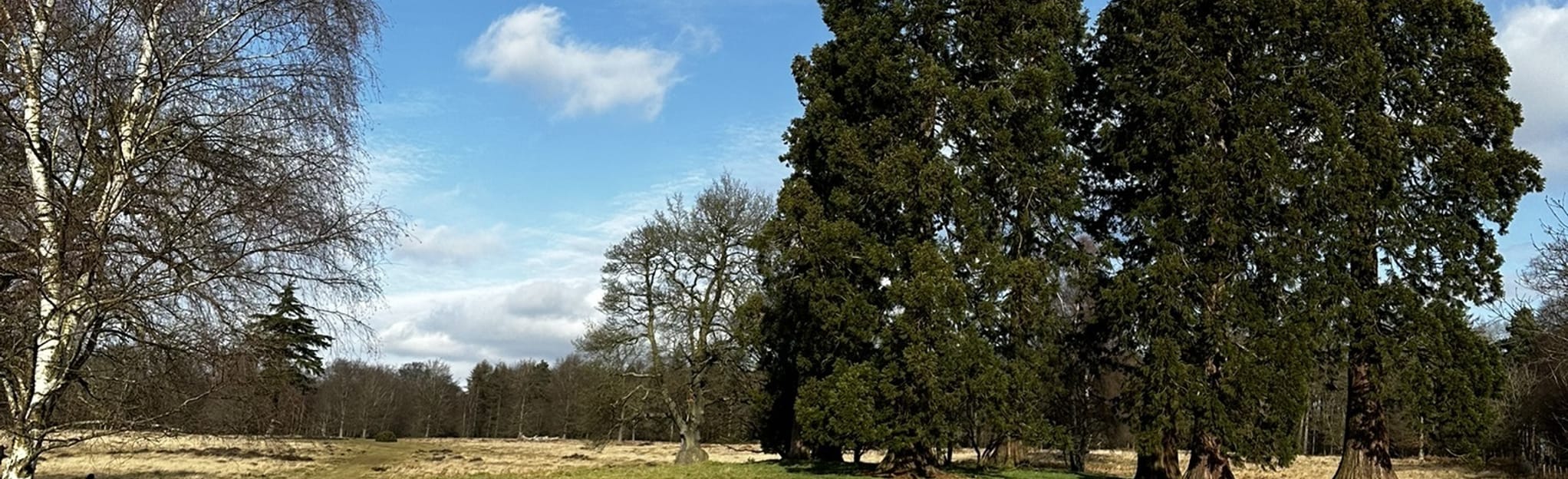 Clumber Park: 65 Reviews, Map - Nottinghamshire, England | AllTrails