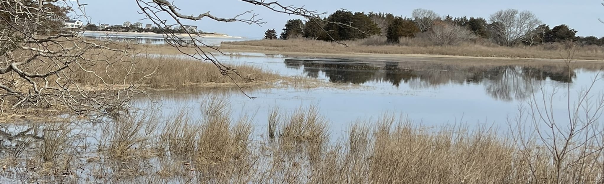 Scorton Creek Marsh Trail: 43 Fotos - Massachusetts | Wandern | AllTrails