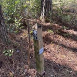 Neusiok Trail, North Carolina - 90 Reviews, Map | AllTrails