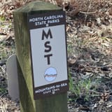 Neusiok Trail, North Carolina - 90 Reviews, Map | AllTrails
