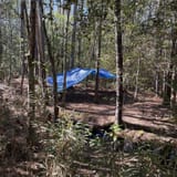 Neusiok Trail, North Carolina - 92 Reviews, Map | AllTrails