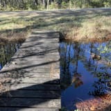 Neusiok Trail, North Carolina - 92 Reviews, Map | AllTrails