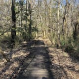 Neusiok Trail, North Carolina - 92 Reviews, Map | AllTrails
