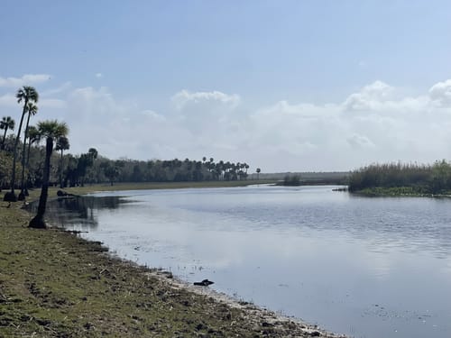 Best Hikes and Trails in Beck Ranch Park | AllTrails