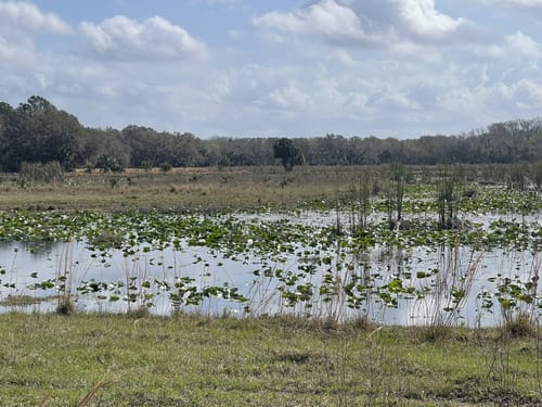 Best Hikes and Trails in Beck Ranch Park | AllTrails