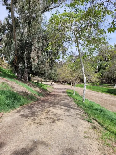 10 Best Trails and Hikes in Camarillo | AllTrails