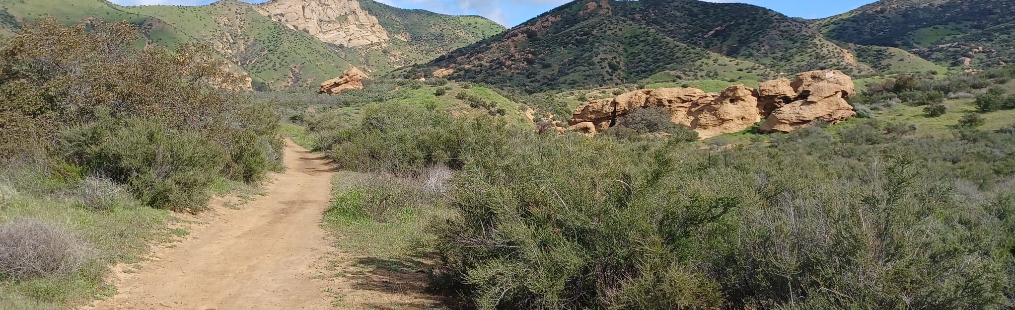 Hummingbird Trail to Chumash Trail Loop, California - 226 Reviews, Map ...