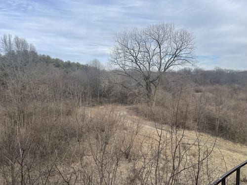 Best Hikes and Trails in Walnut Point State Park | AllTrails