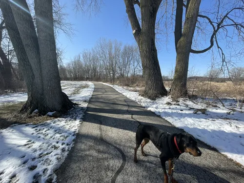 Best Hikes and Trails in Fox Brook County Park | AllTrails