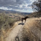 Polecat Short Loop, Idaho - 319 Reviews, Map | AllTrails