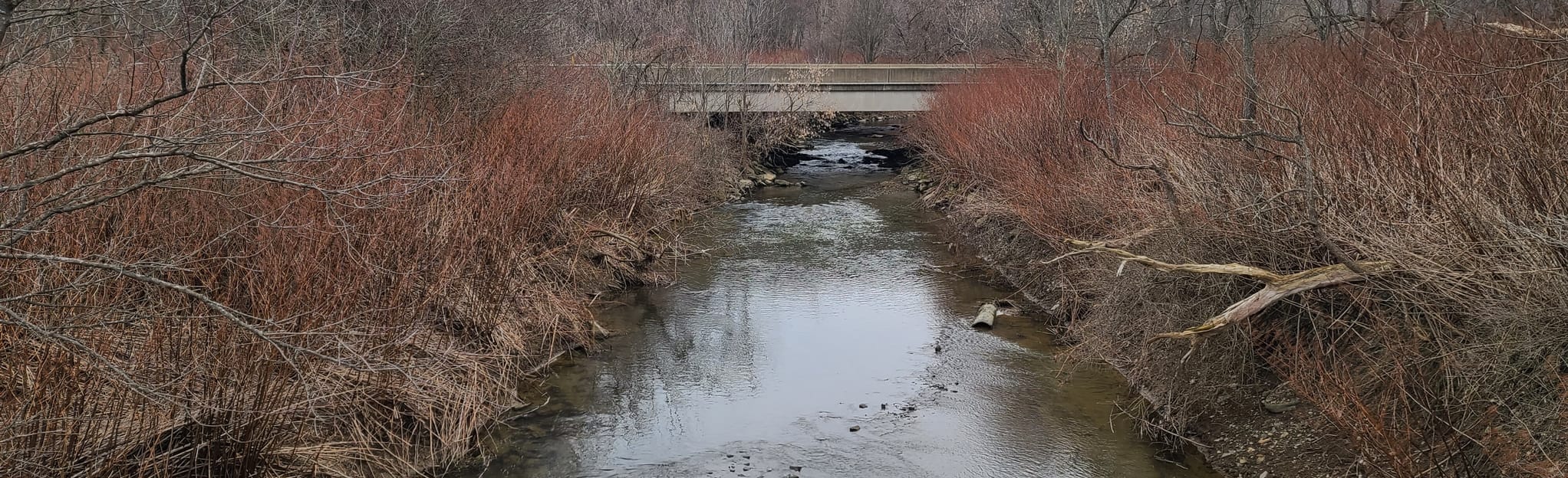 Crook Farm Loop, Pennsylvania - 20 Reviews, Map | AllTrails