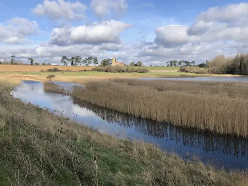 2023 Best 10 Wildflowers Trails in Suffolk Coast and Heaths Area of ...